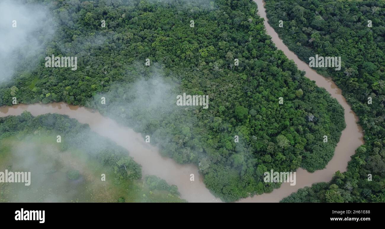 Aerial view of Amazon rainforest in Brazil, South America. Green forest ...
