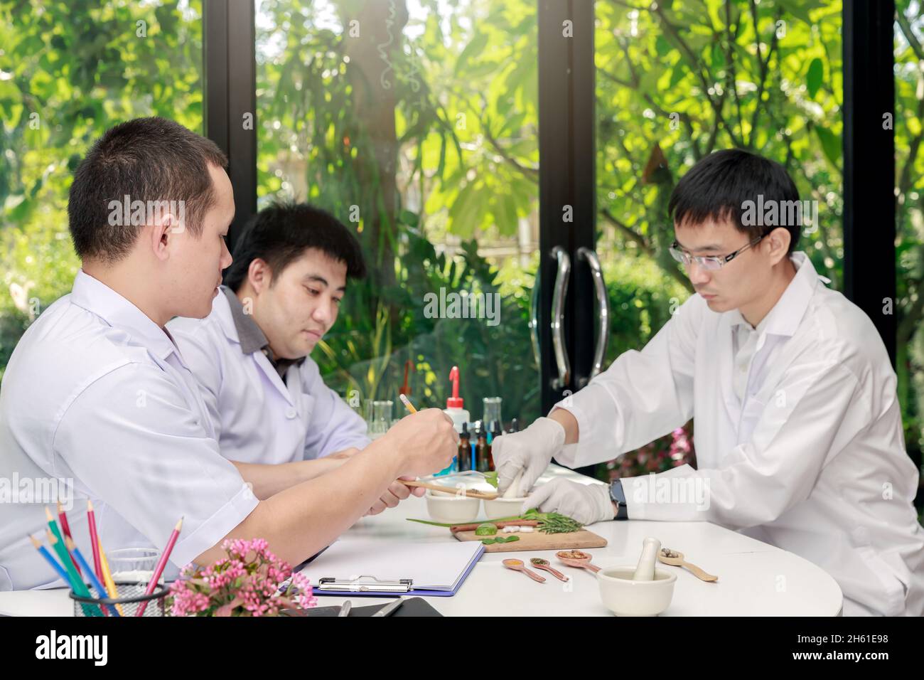 The scientist or doctor make herbal medicine from herb in the ...