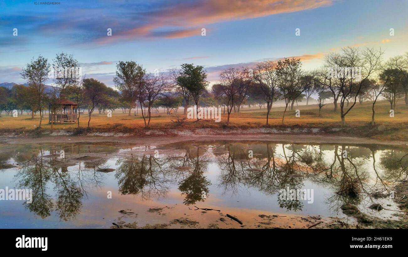 Trees in a park with their reflection in a small pond on an evening ...