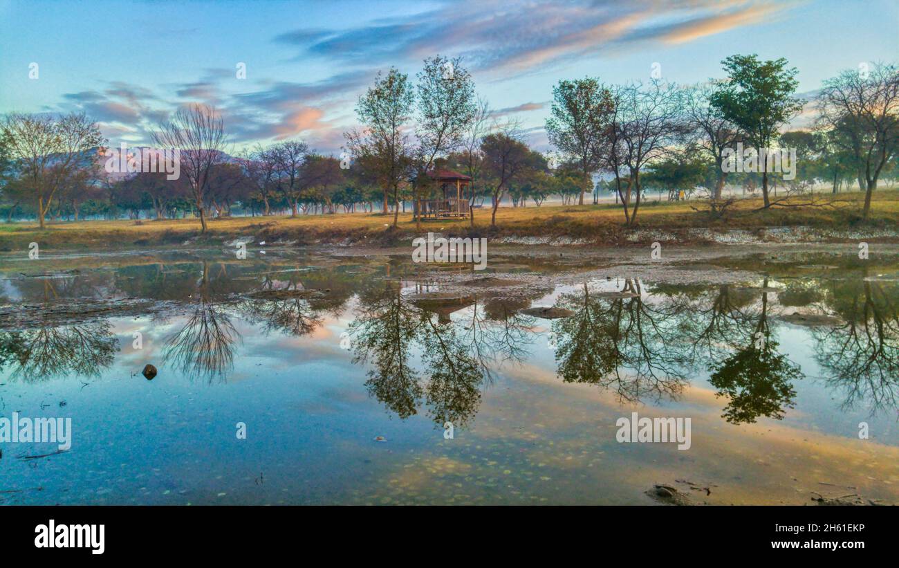 Trees in a park with their reflection in a small pond on an evening ...