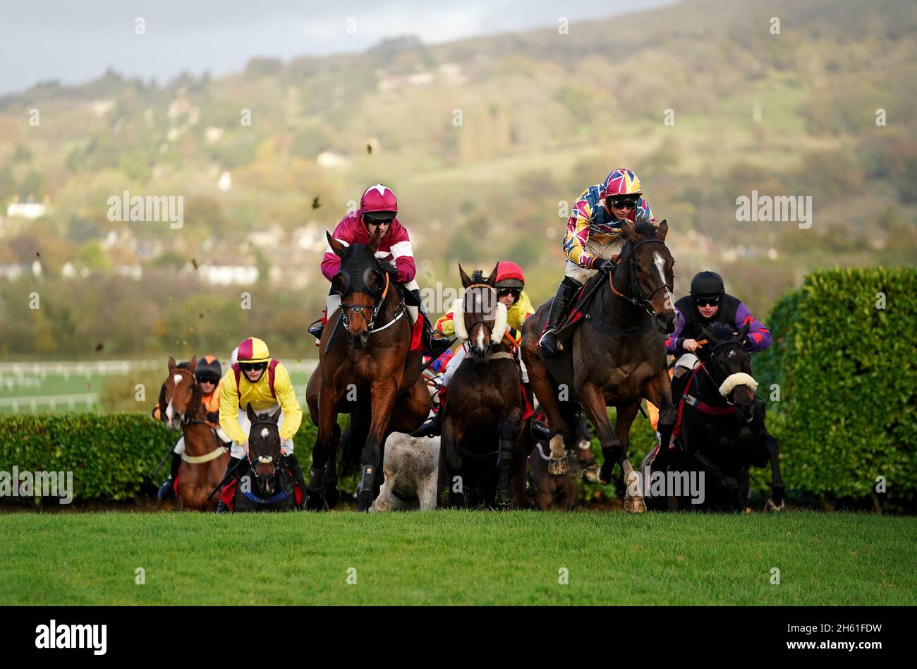 Cheltenham november 2021 racecourse hi-res stock photography and images ...