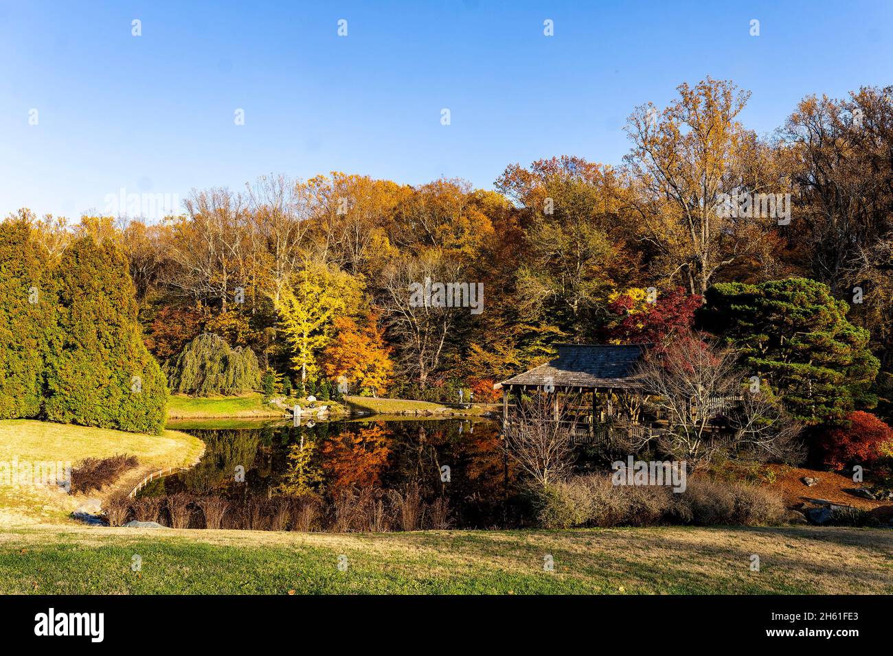 Autumn colors come to life around a rural pond Stock Photo - Alamy