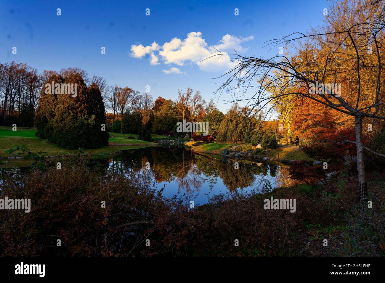 Autumn colors come to life around a rural pond Stock Photo - Alamy