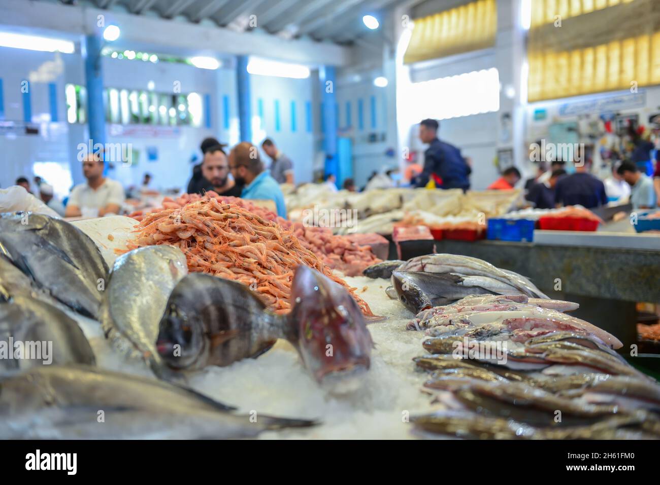 Africa morocco tangier berber women hi-res stock photography and images ...