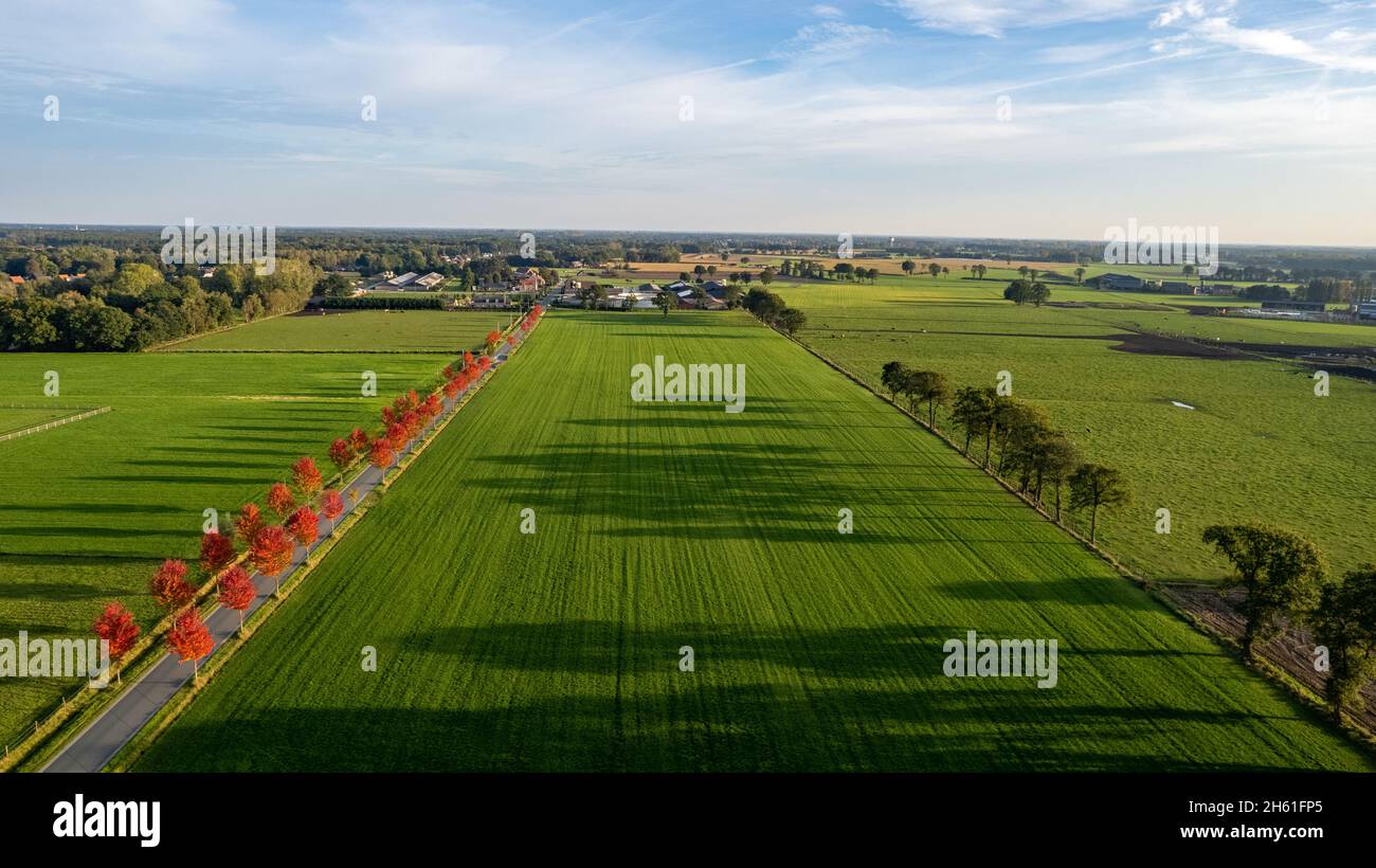 Subdivision building plot hi-res stock photography and images - Alamy