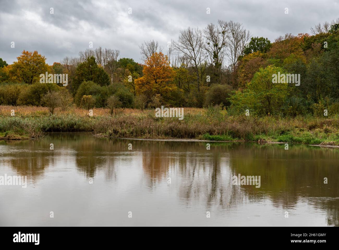 Colorful autumn leaves and pond in a natural flood zone Stock Photo - Alamy