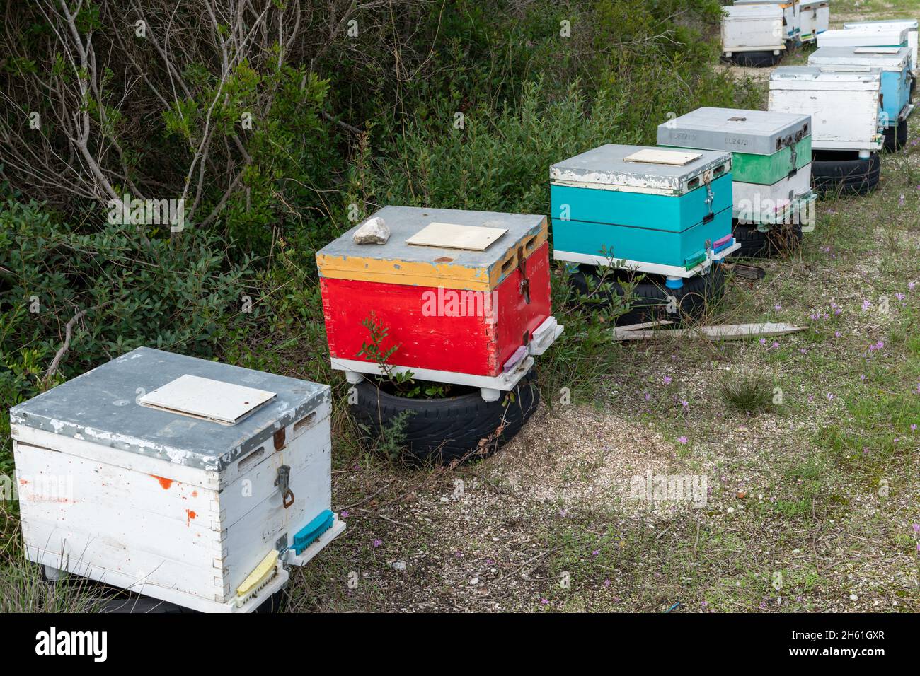 Bee hives and honey farming in the Greek countryside Stock Photo - Alamy
