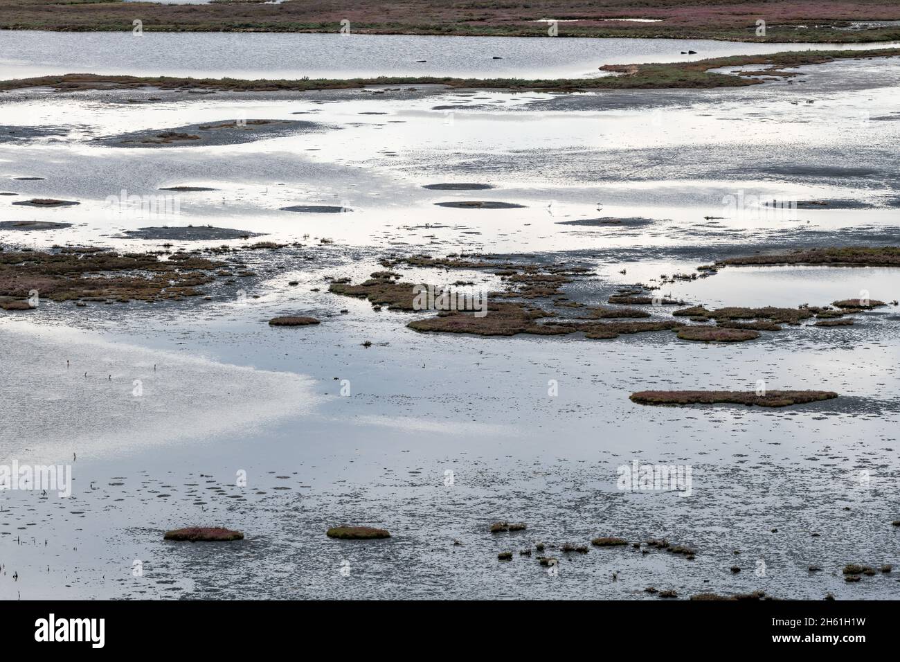 Abstract patterns on a salt marsh wet land. A wild life habitat Stock ...