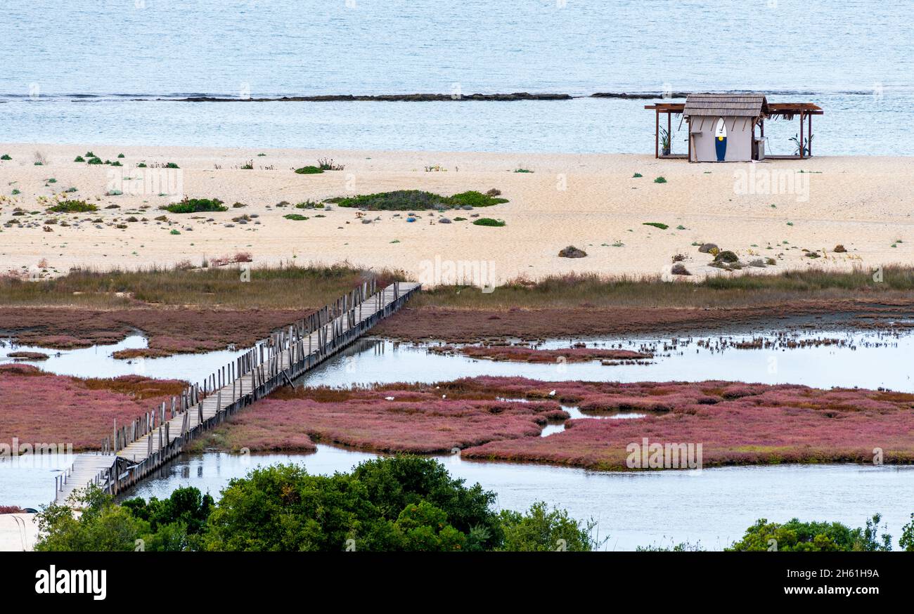 Aerial view of a salt marsh wetland with a wooden bridge leading to a ...