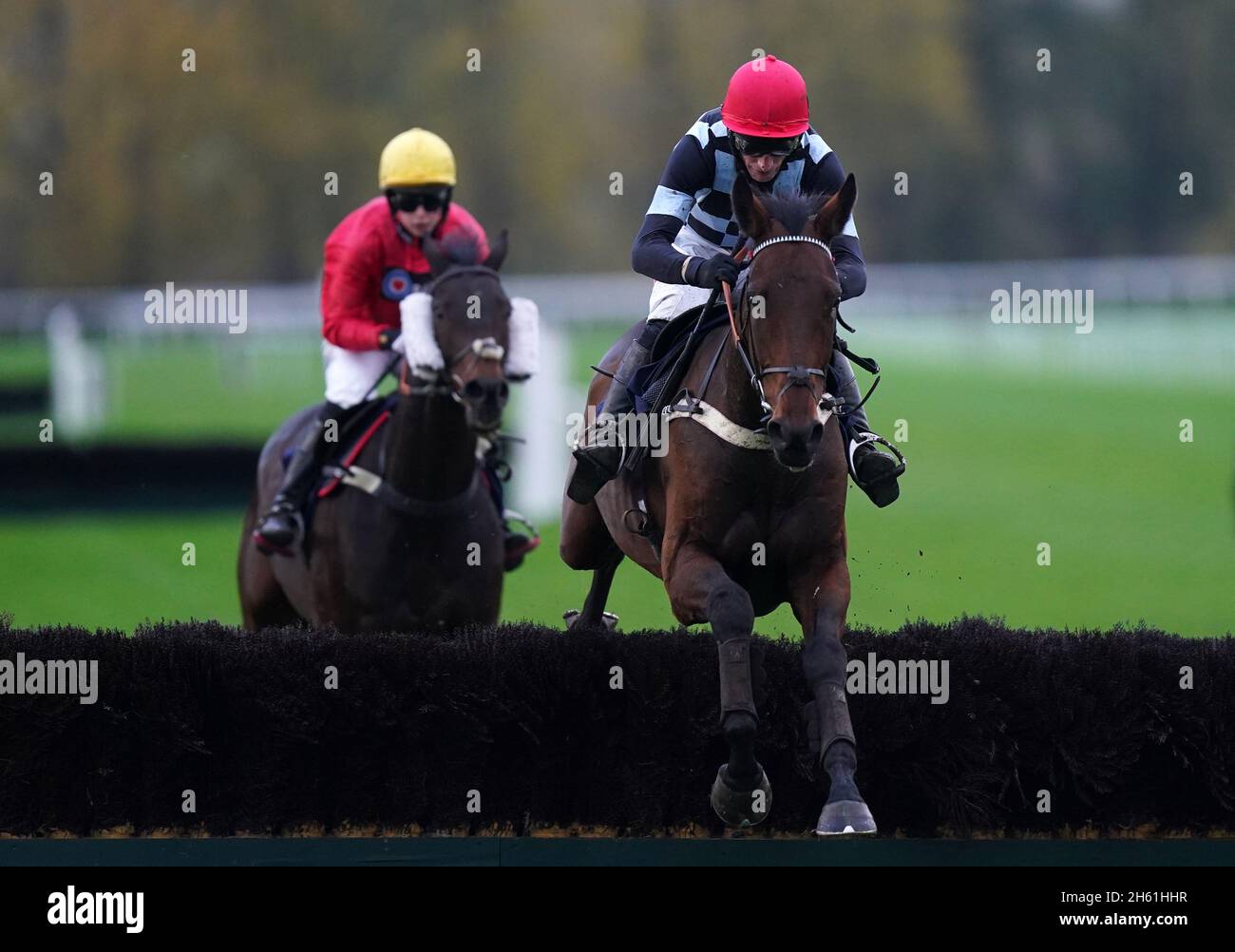 The catbird seat hi-res stock photography and images - Alamy