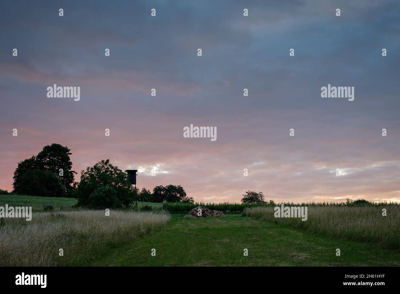 Scenery of High seat field and dawn clouds in the sky at sunset Stock ...