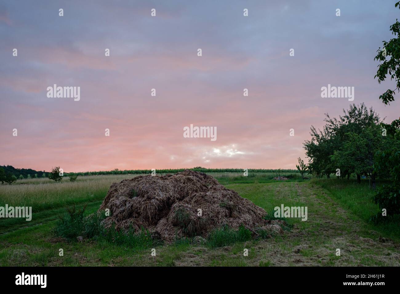Scenery of Dunghill on a green meadow landscape Stock Photo - Alamy