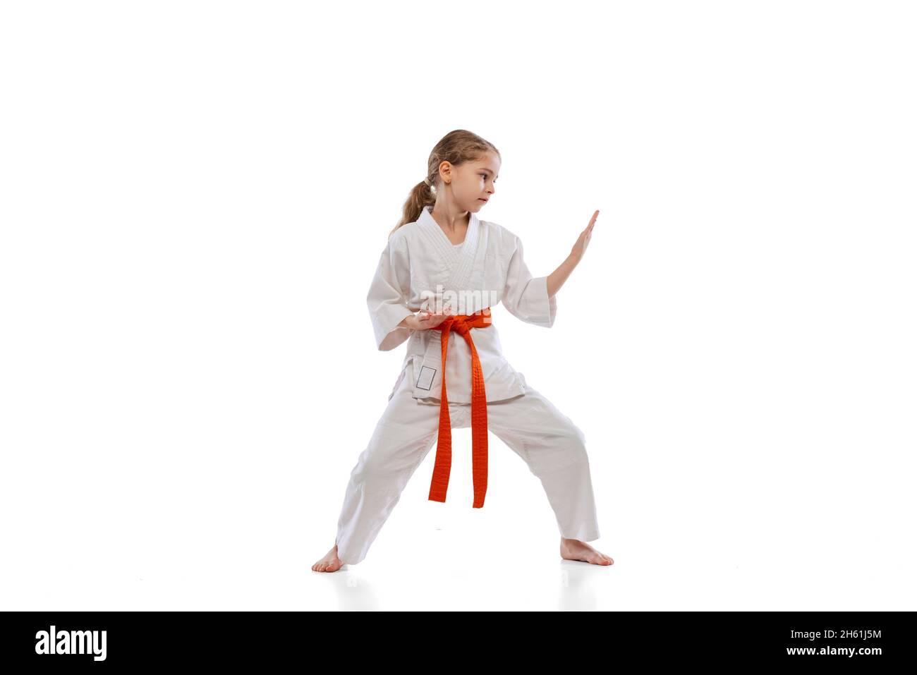 Studio shot of little girl, young karate training alone isolated over ...