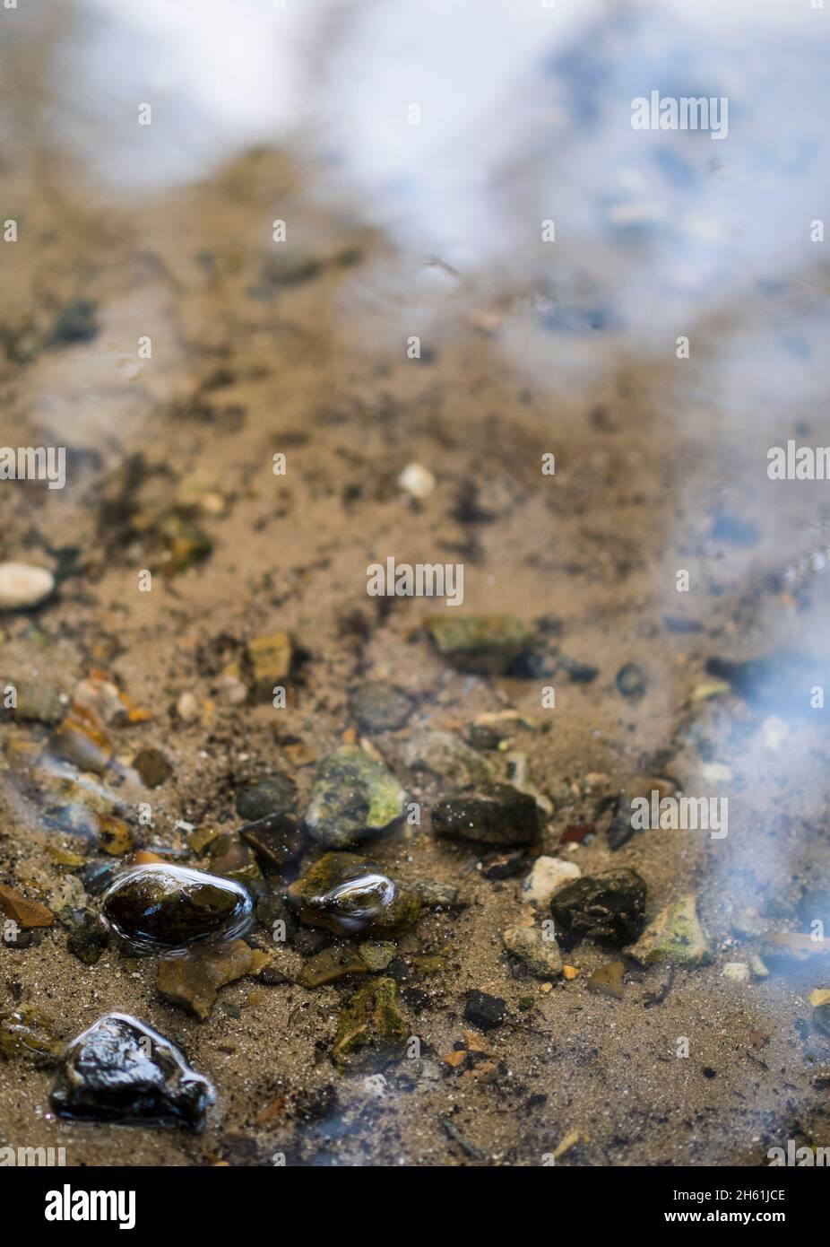 River Edge Landscape, Pebbles, River Thames, Maidenhead, Berkshire ...