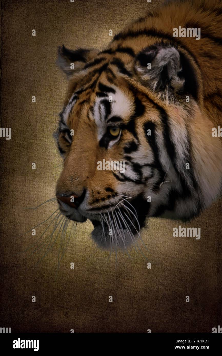 Wildlife Texture Blending Stock Photo - Alamy