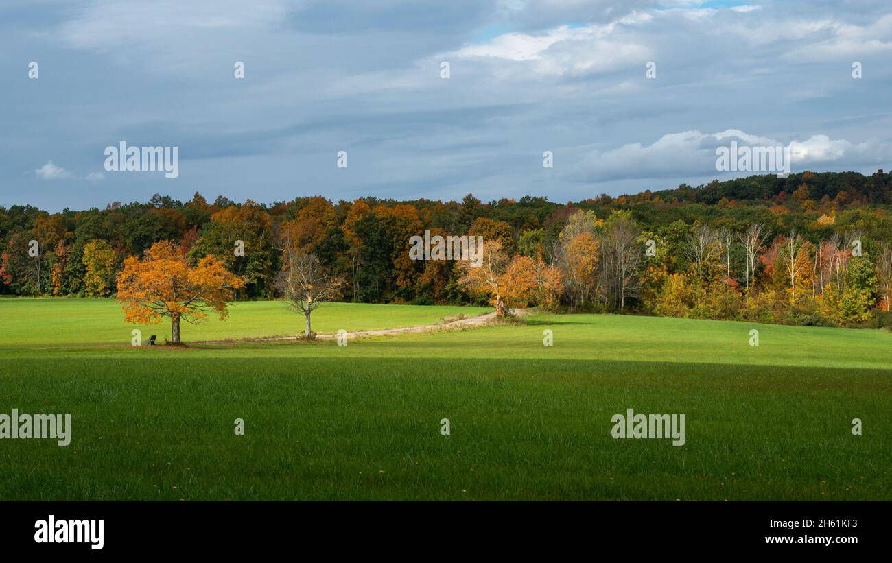 Natural landscape of a field with trees in autumn Stock Photo - Alamy