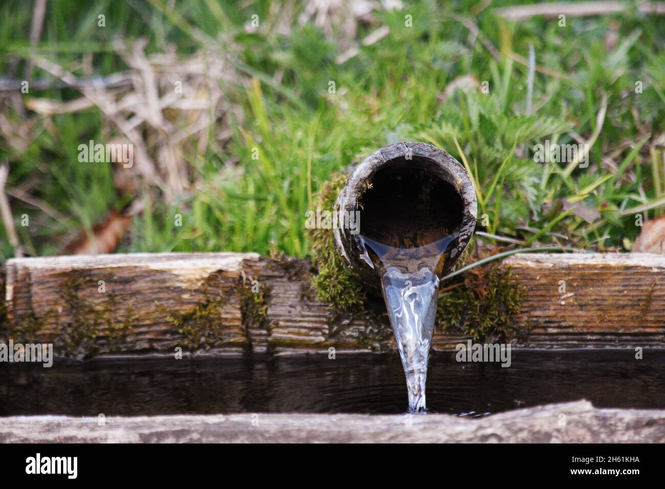 Selective focus shot of spring water pouring from a pipe into a stream ...