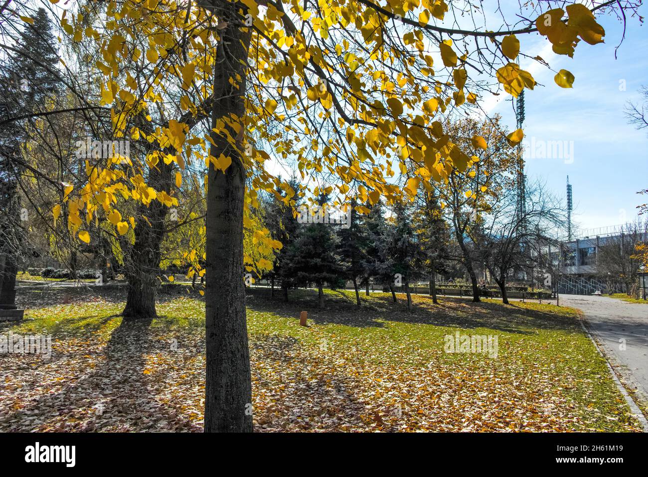 Amazing Autumn Landscape with Trees and gardens at Borisova gradina ...
