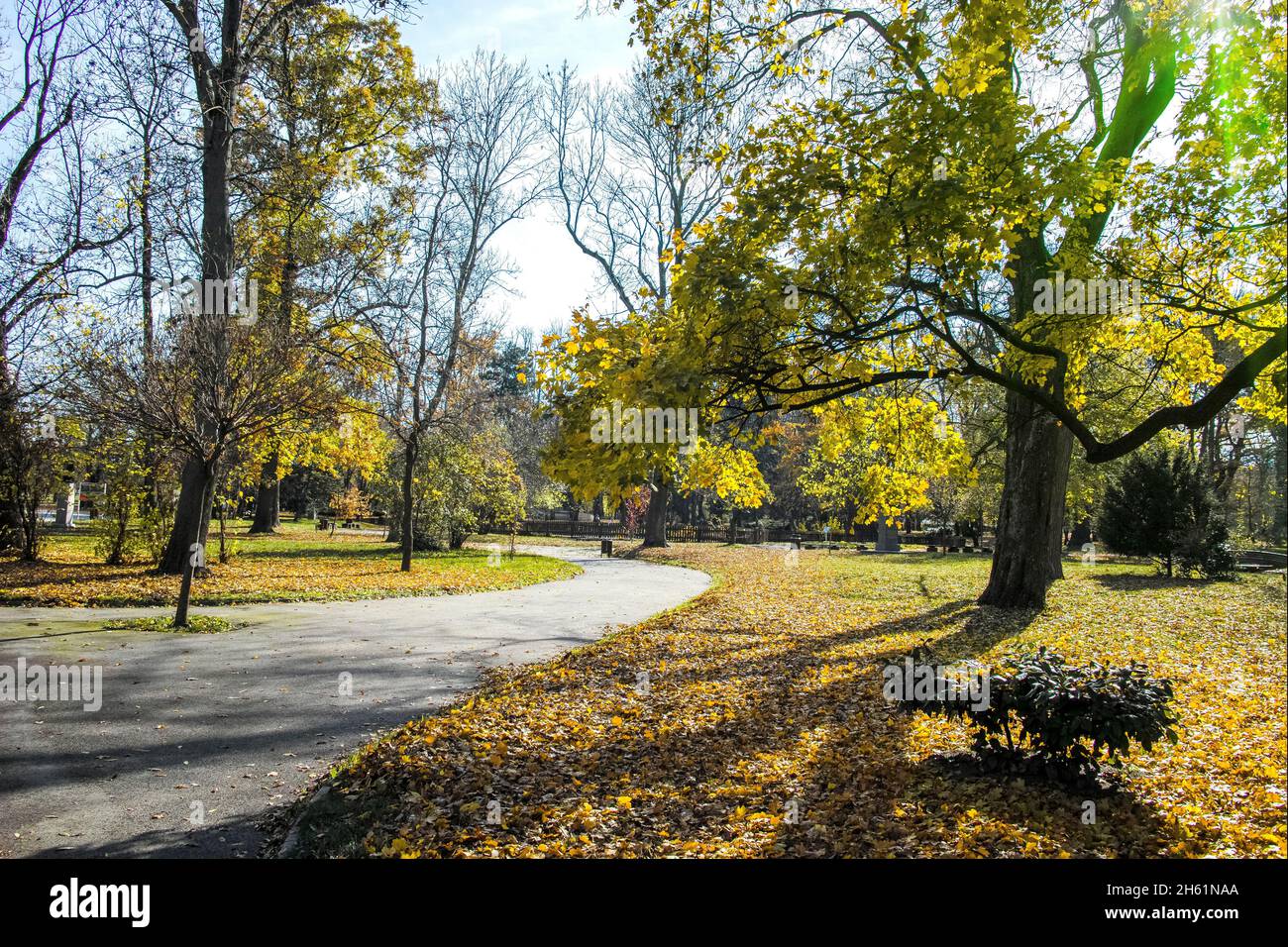 Amazing Autumn Landscape with Trees and gardens at Borisova gradina ...