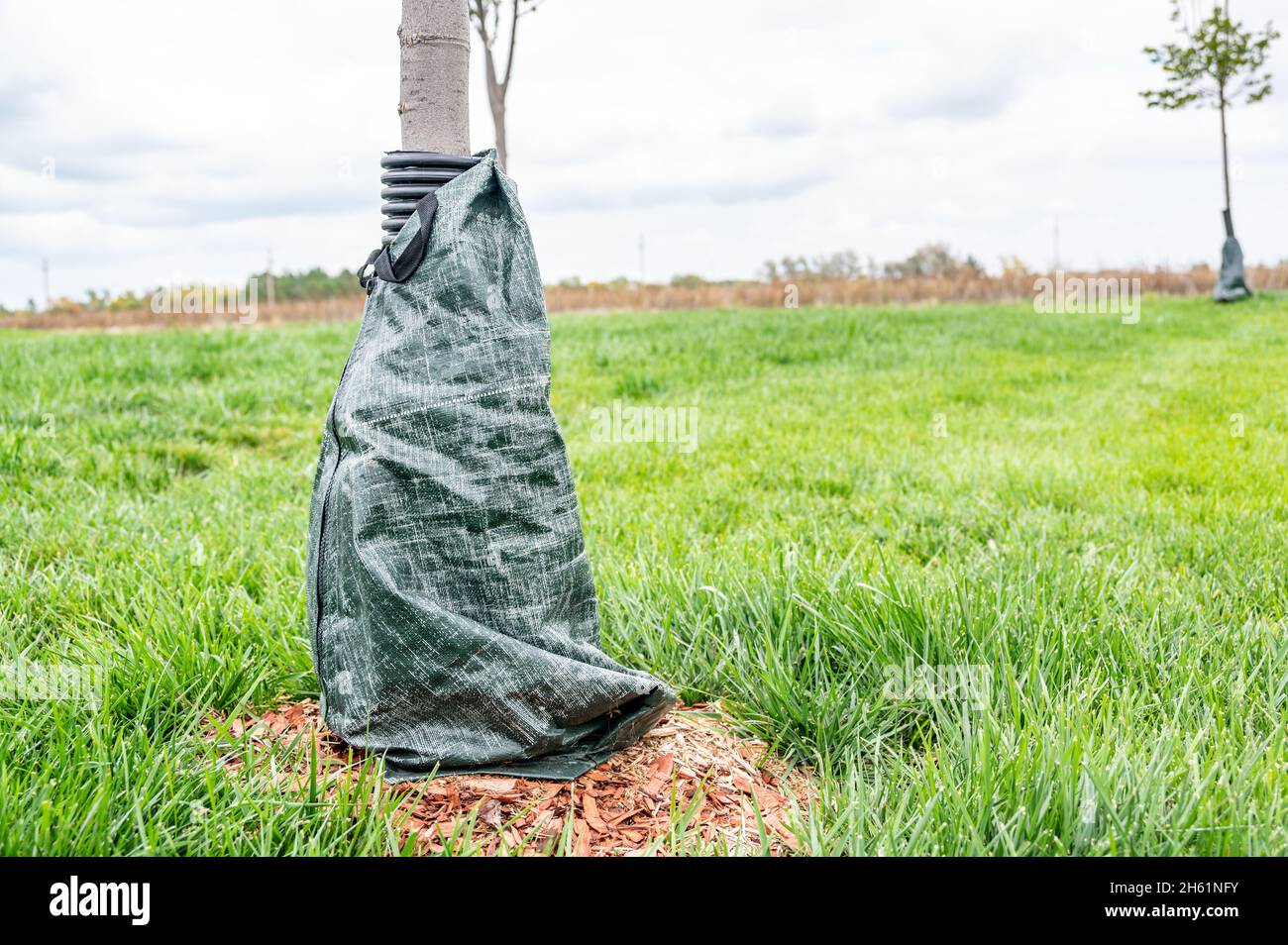 Protection from rabbits hi-res stock photography and images - Alamy