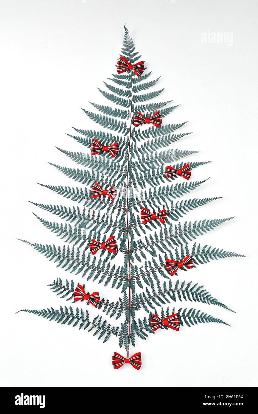 Christmas tree made from natural fern leaf decorative ribbon bows on ...