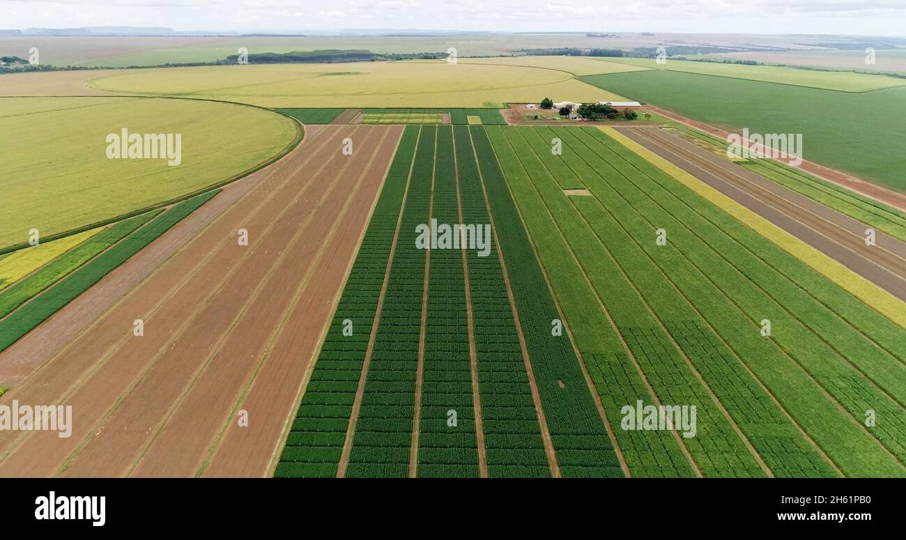 Soybean harvesting aerial view hi-res stock photography and images - Alamy