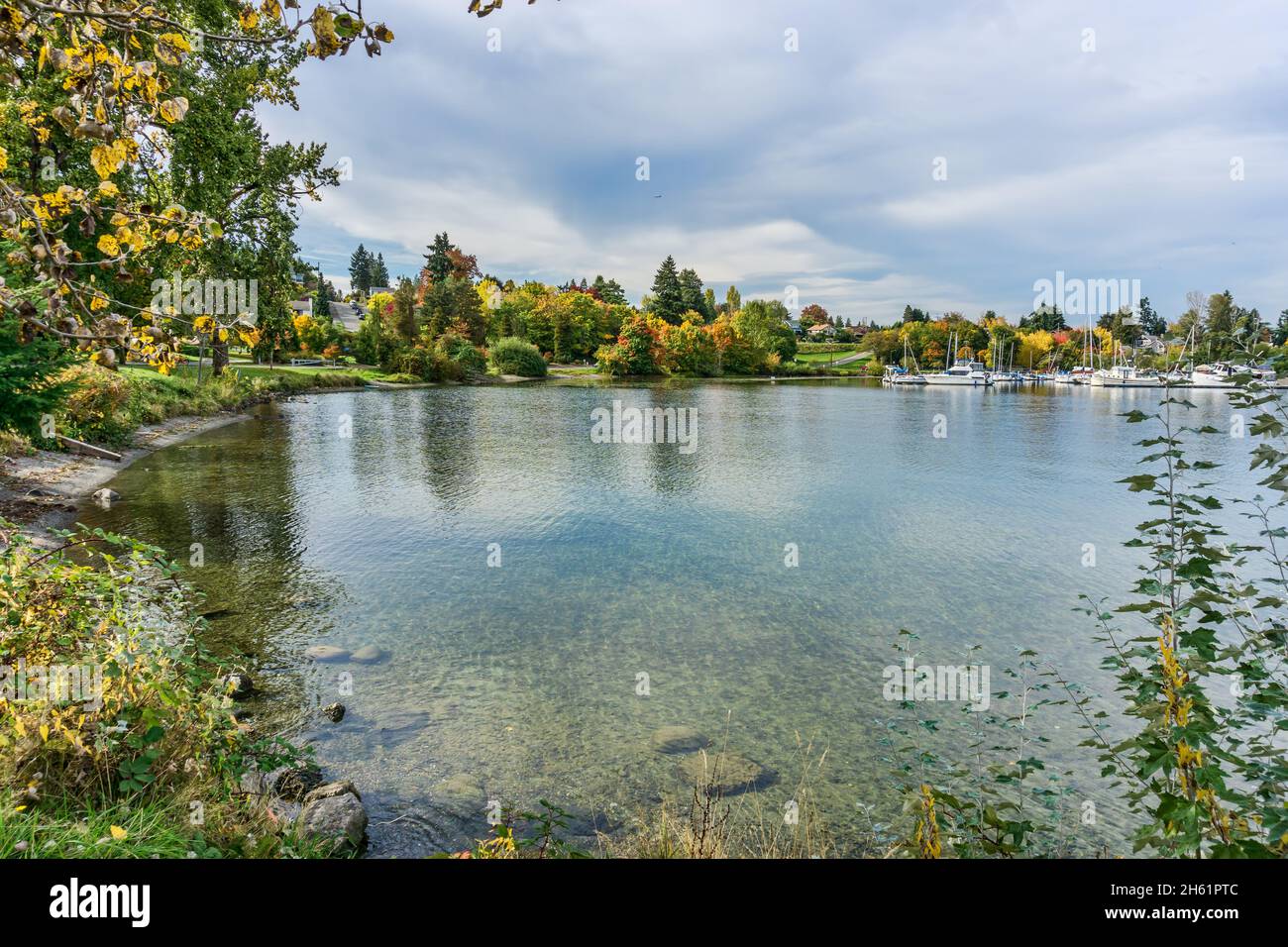 A Lake Wasington marina and colorful fall trees in Seattle, Washington ...