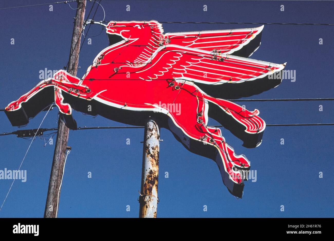 Red Horse With Wings Logo