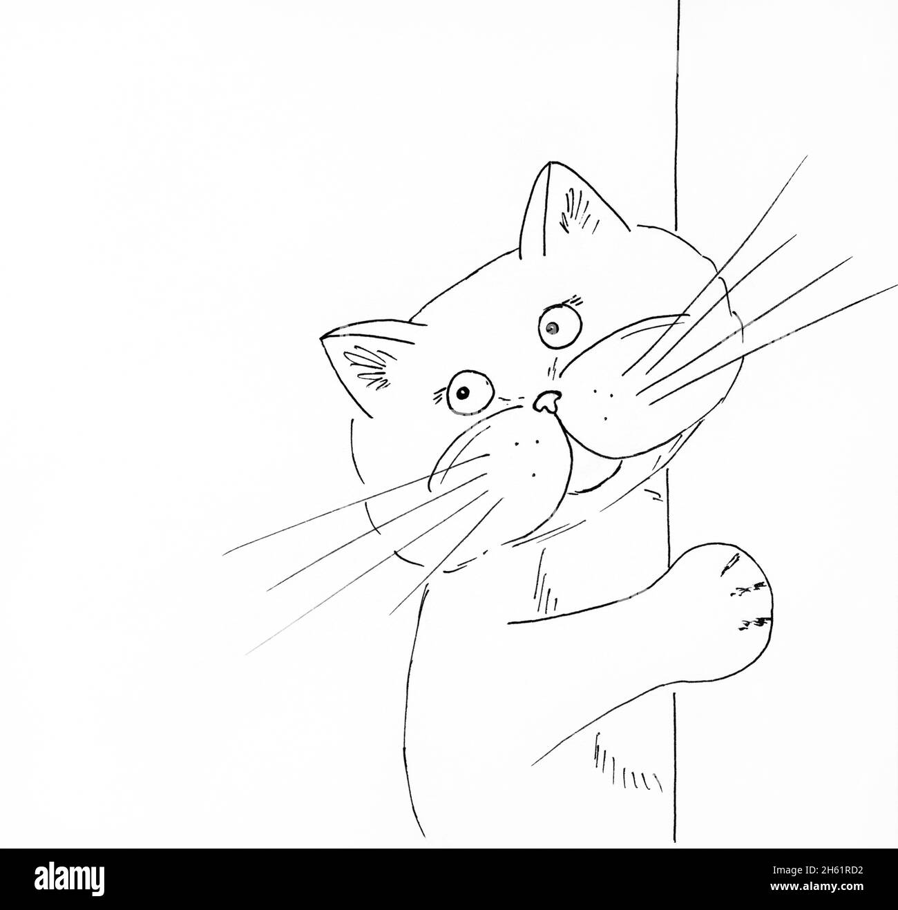 A Cat looking around a corner. Black and white hand drawing Stock Photo ...