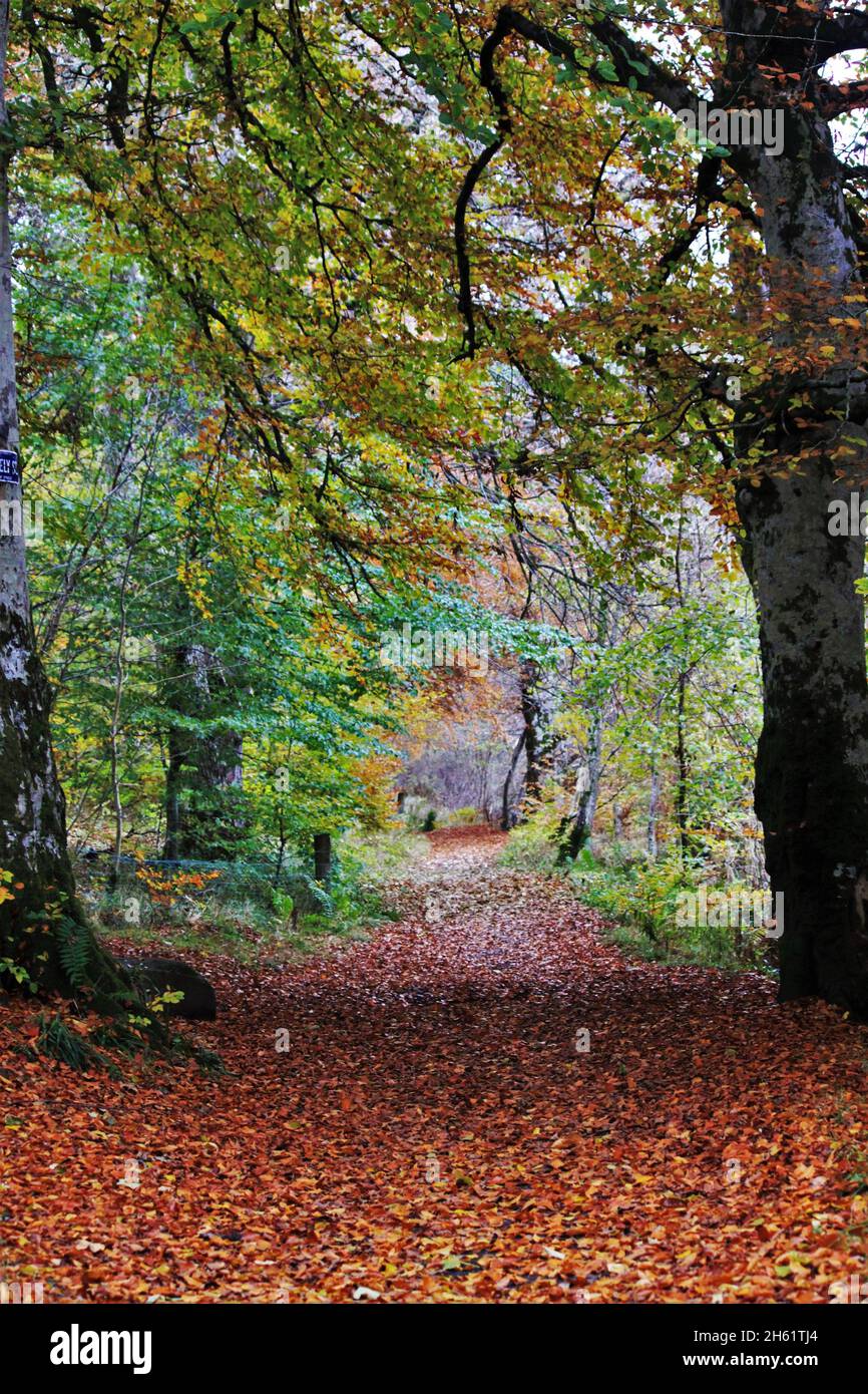 Craigengillan scotland hi-res stock photography and images - Alamy