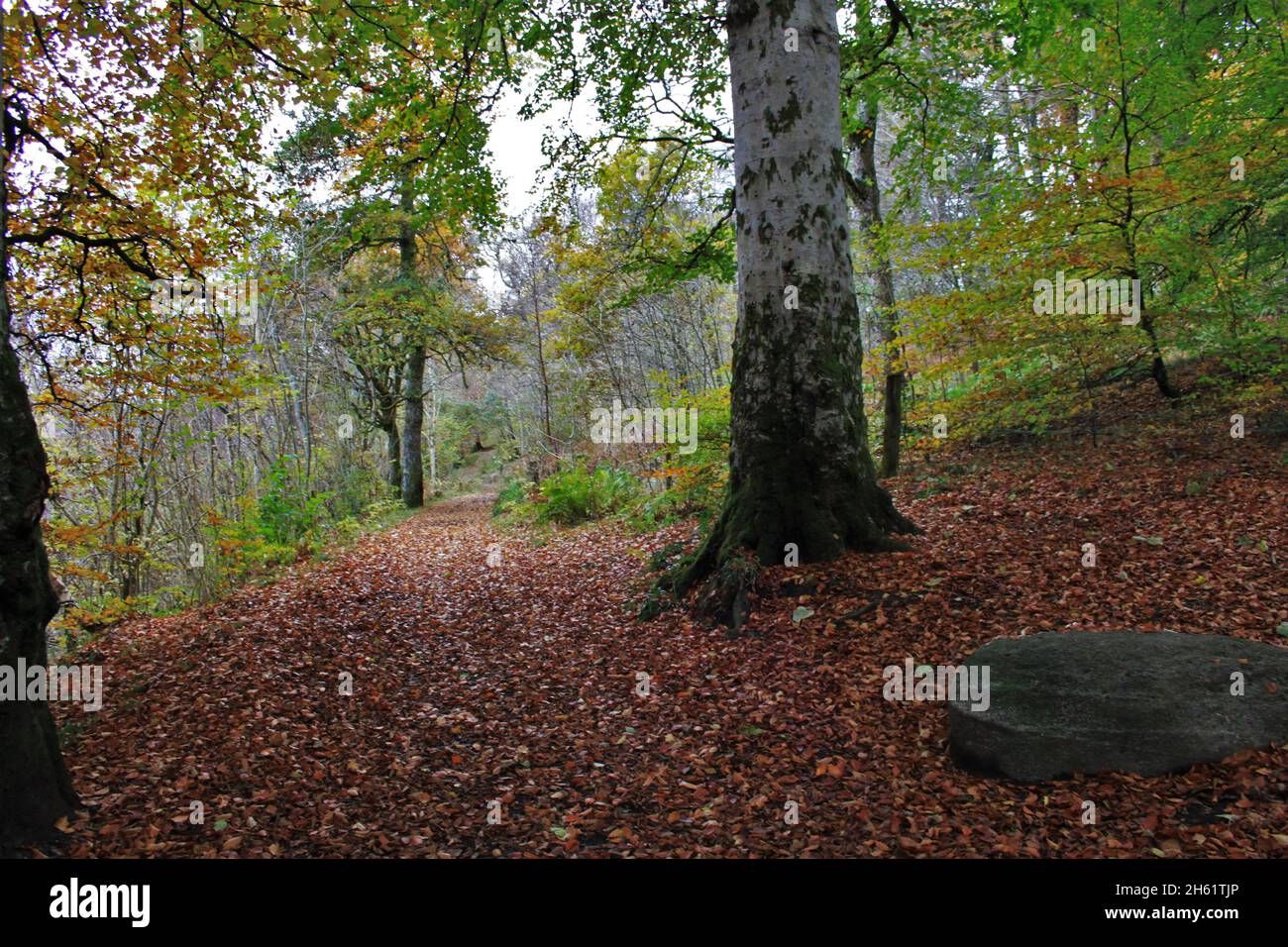 Craigengillan scotland hi-res stock photography and images - Alamy