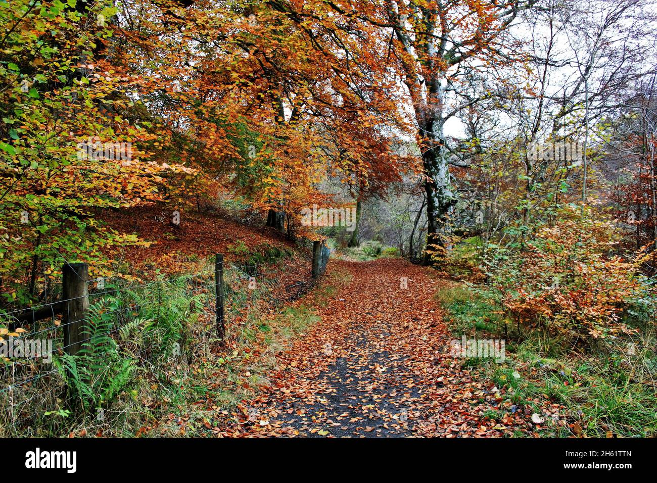 Craigengillan scotland hi-res stock photography and images - Alamy
