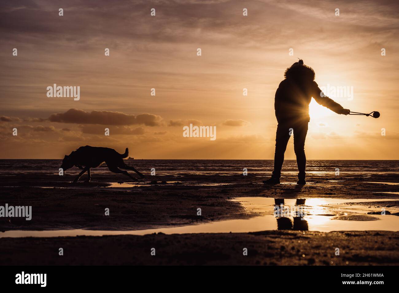 Woman dog silhouette hi-res stock photography and images - Alamy