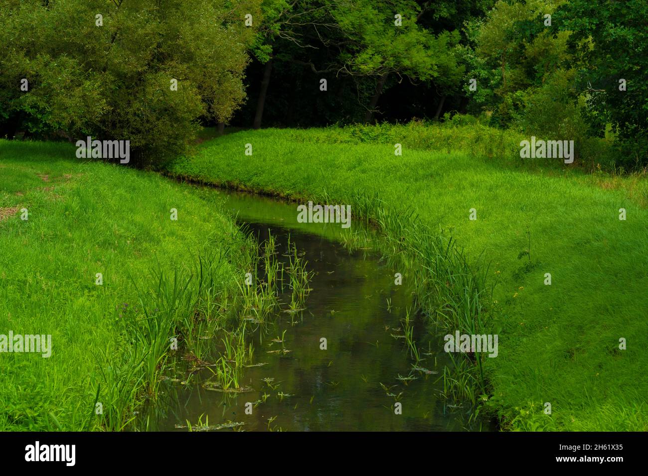 small narrow river between two meadows in summer,in the background a ...