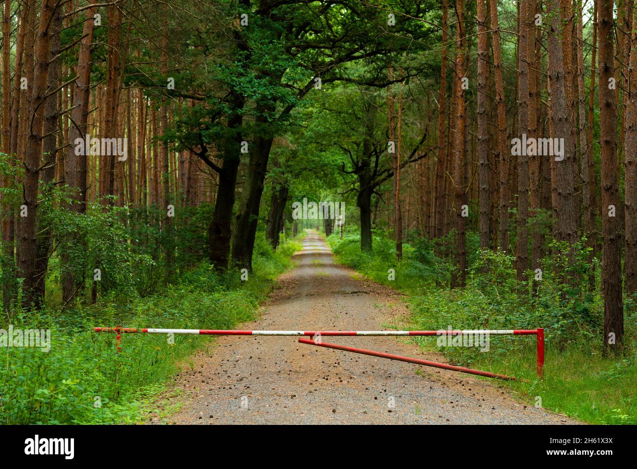 Boom gate hi-res stock photography and images - Alamy