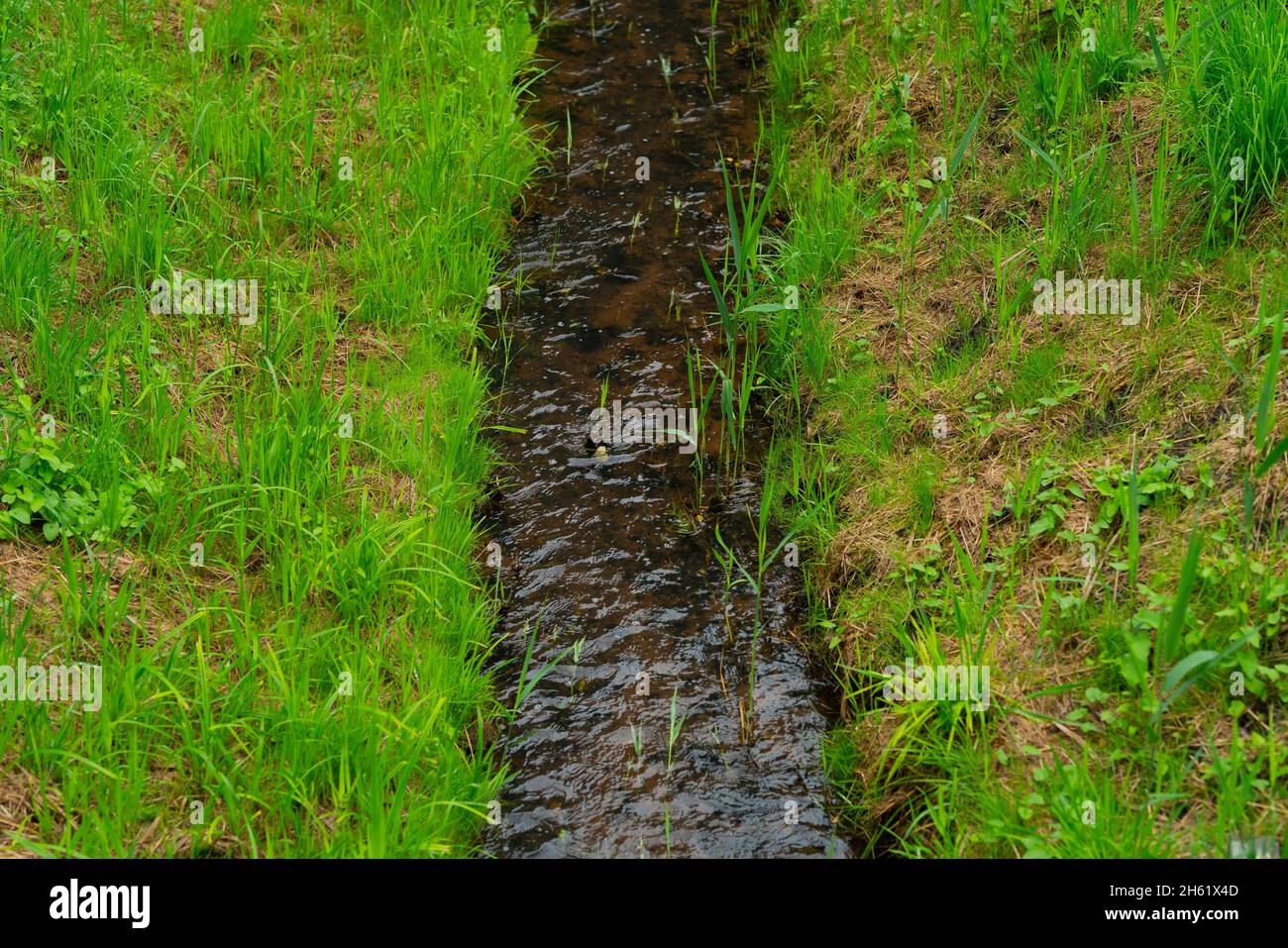 Narrow river hi-res stock photography and images - Alamy