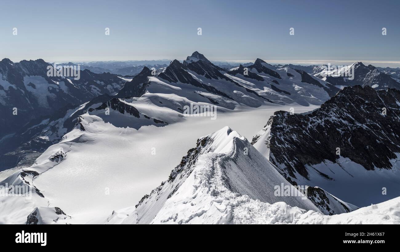 summit ridge on the mönch Stock Photo - Alamy