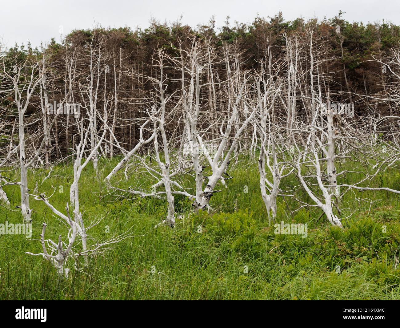Stanhope campground hi-res stock photography and images - Alamy