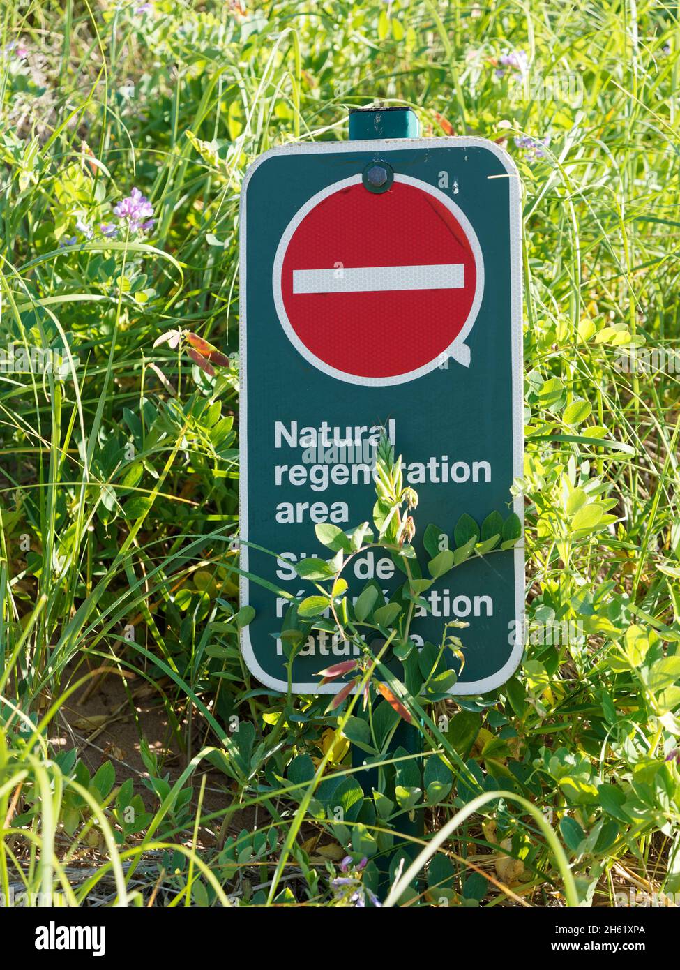 Prohibition sign no vehicles hi-res stock photography and images - Alamy