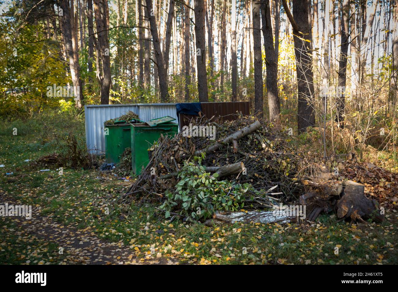 Greenery metal containers for collecting garbage in the forest. Waste ...