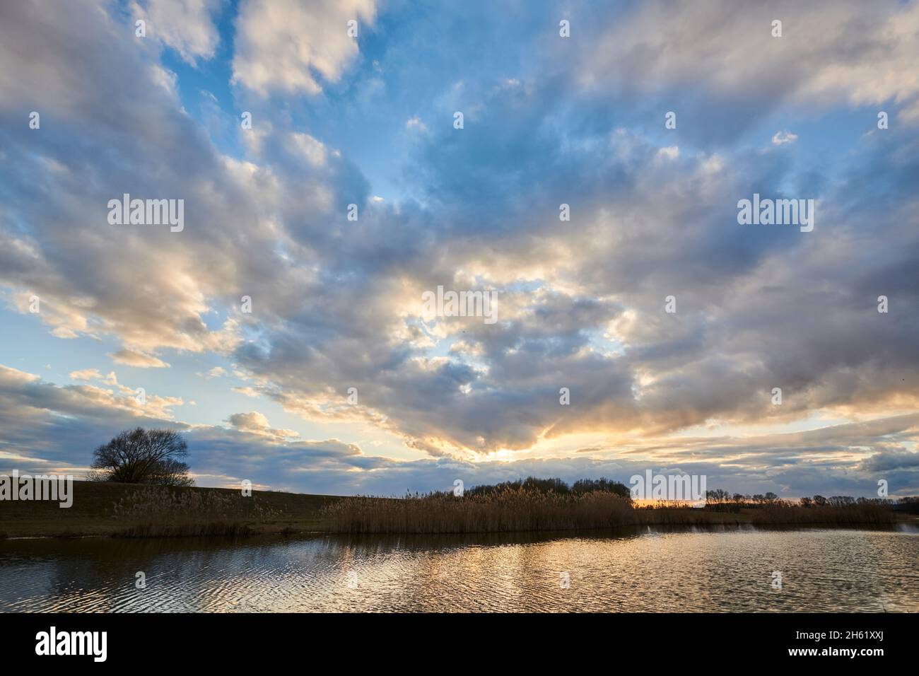 Danube spring hi-res stock photography and images - Alamy