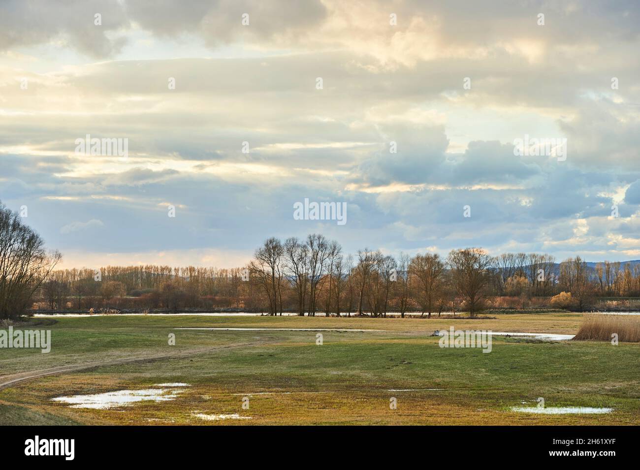 Danube spring hi-res stock photography and images - Alamy