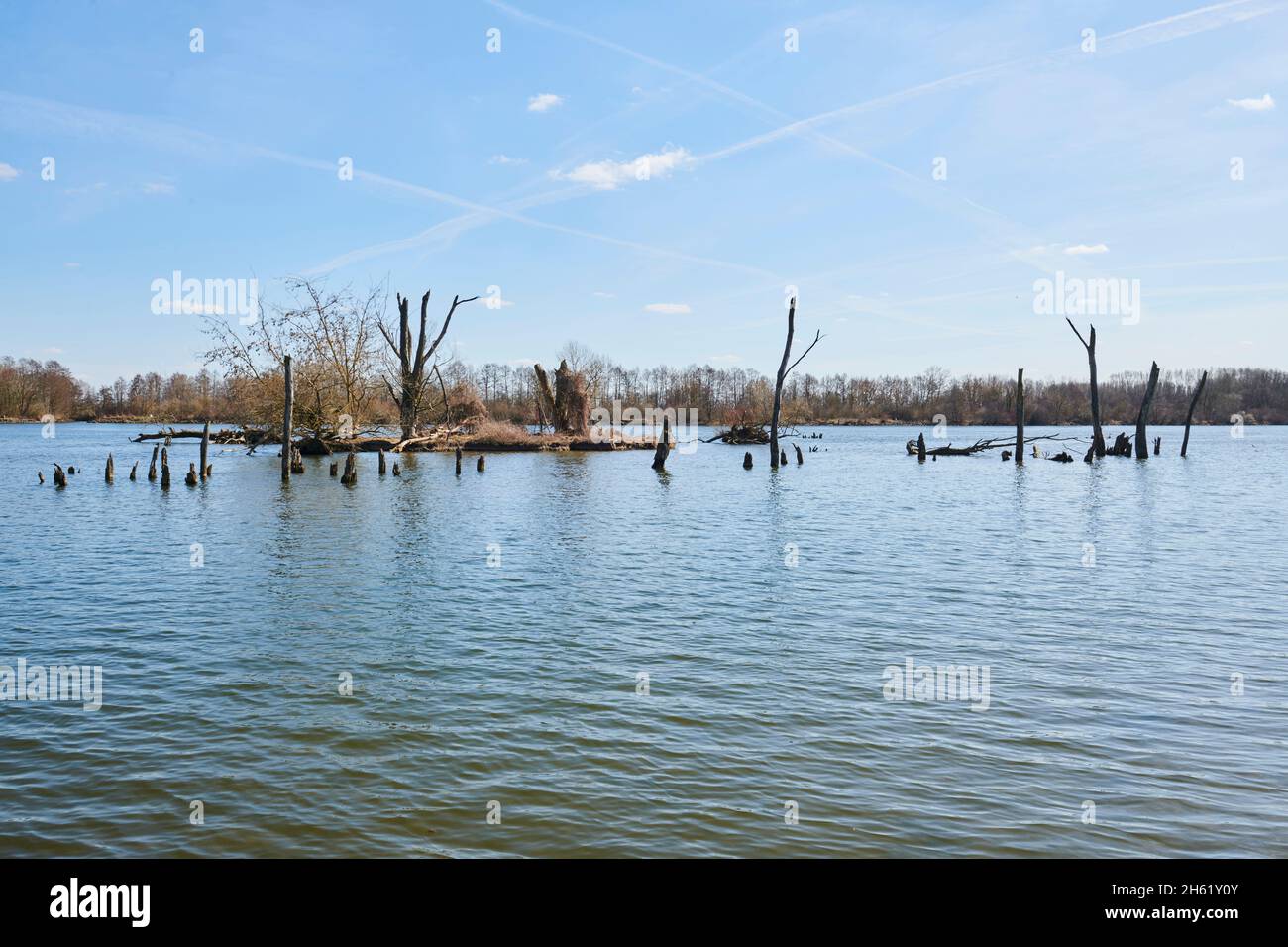 Danube spring hi-res stock photography and images - Alamy