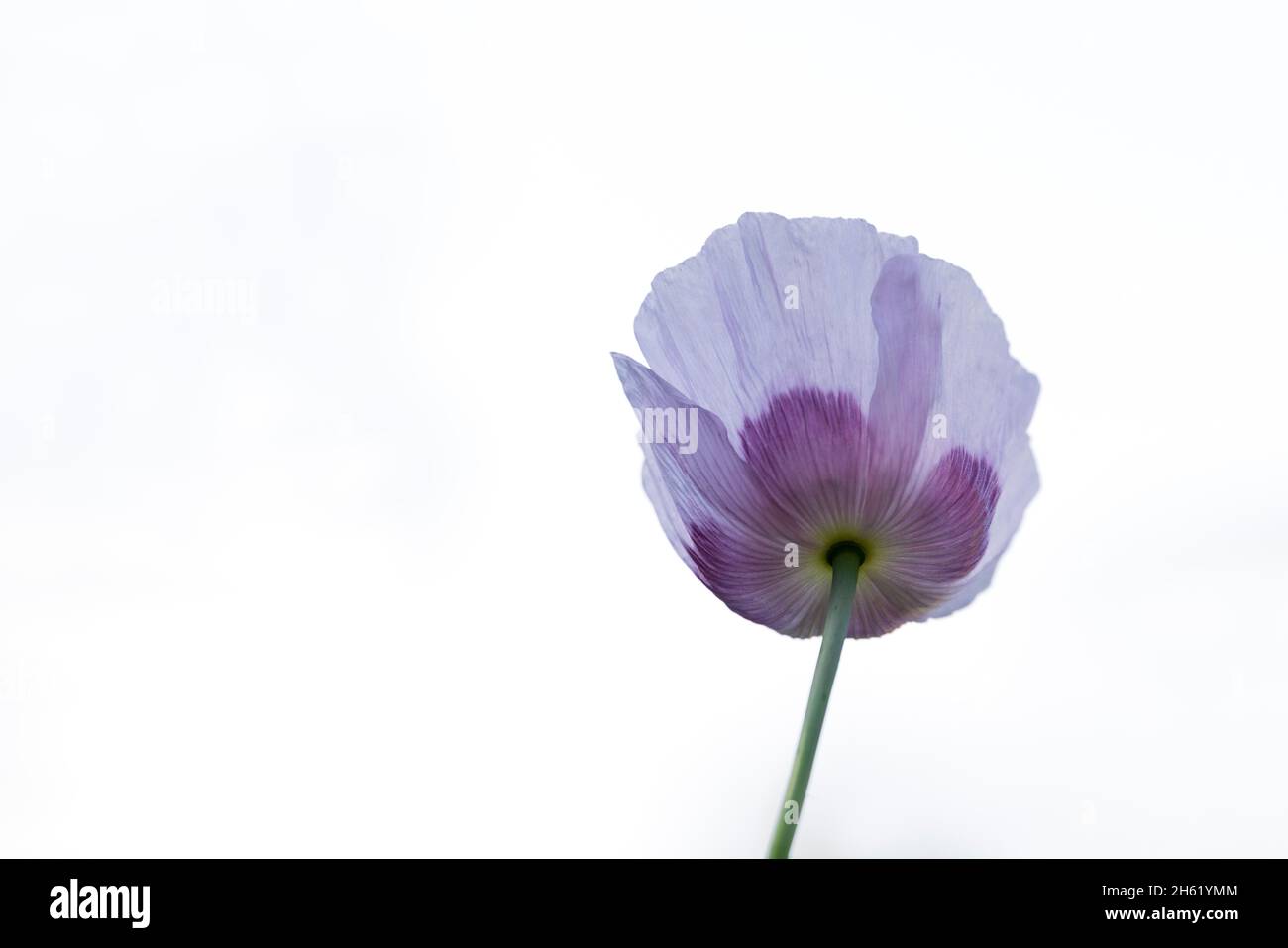 High country views Cut Out Stock Images & Pictures - Alamy