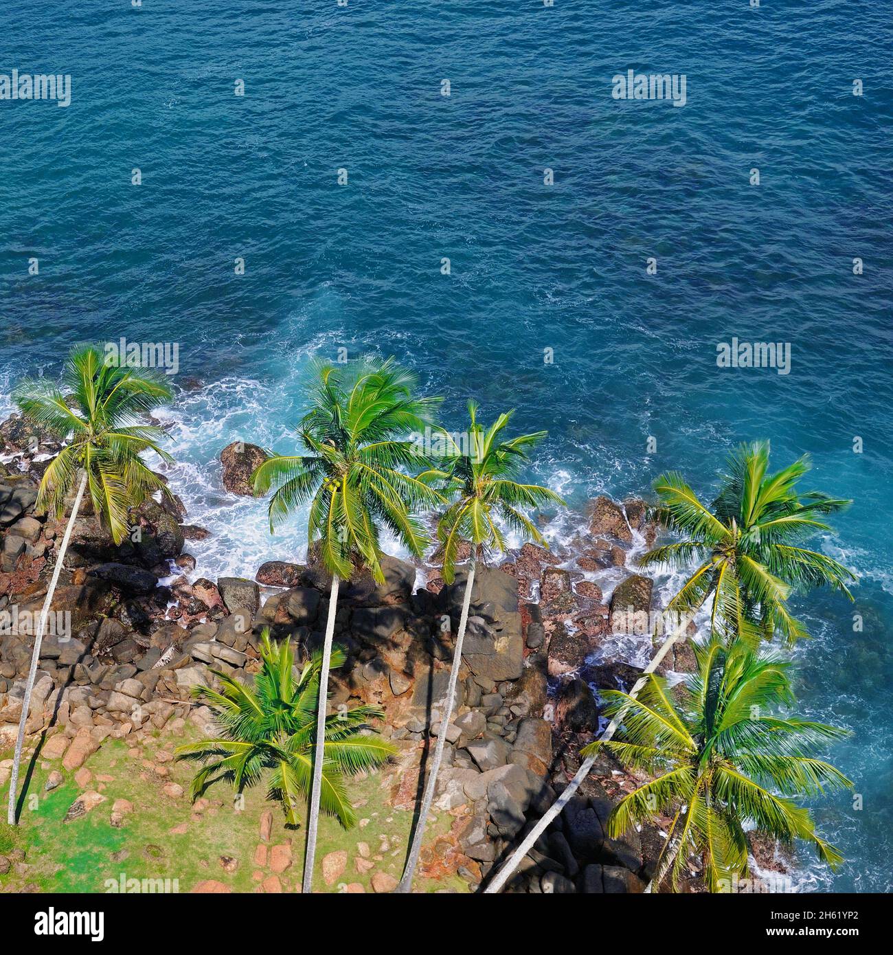 Beach tropical ocean with coral, palm trees and lagoon. View from above ...