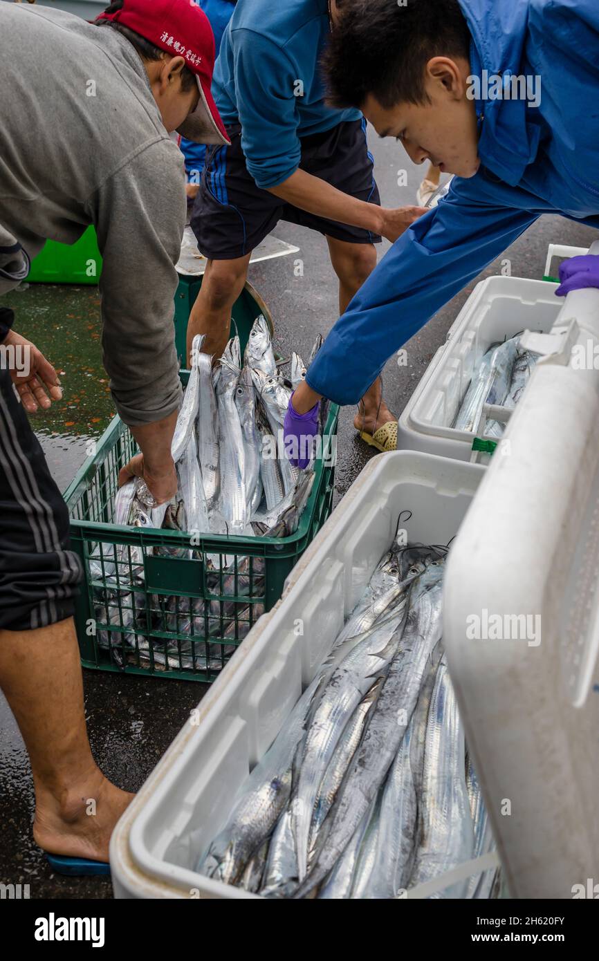 Fishermen sorting fishes hi-res stock photography and images - Alamy