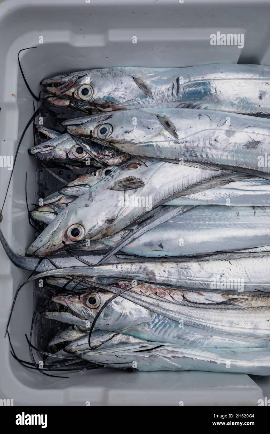 Fish davit hi-res stock photography and images - Alamy