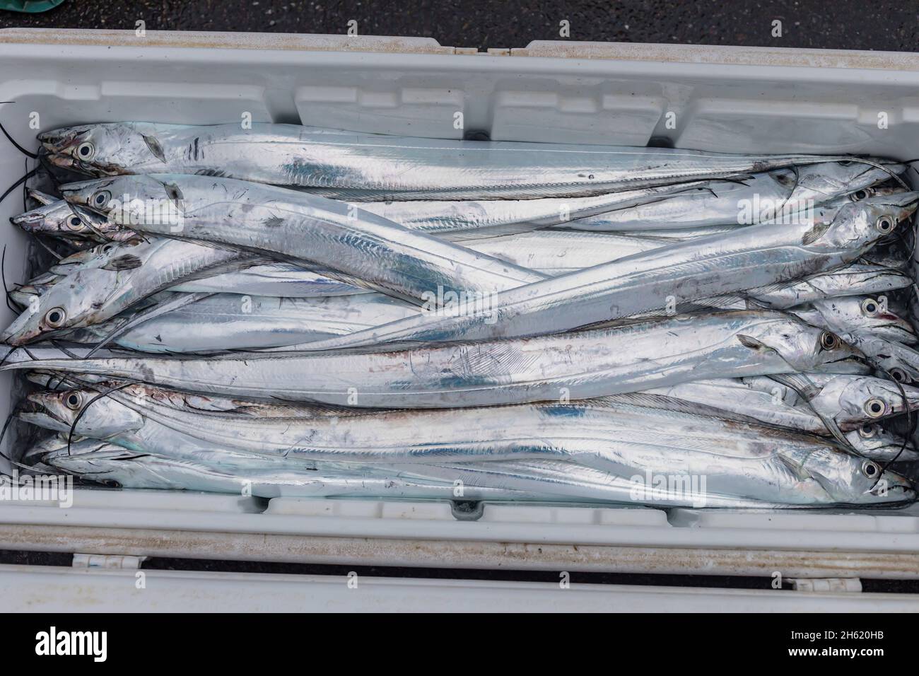 fresh fish in heping harbor Stock Photo - Alamy