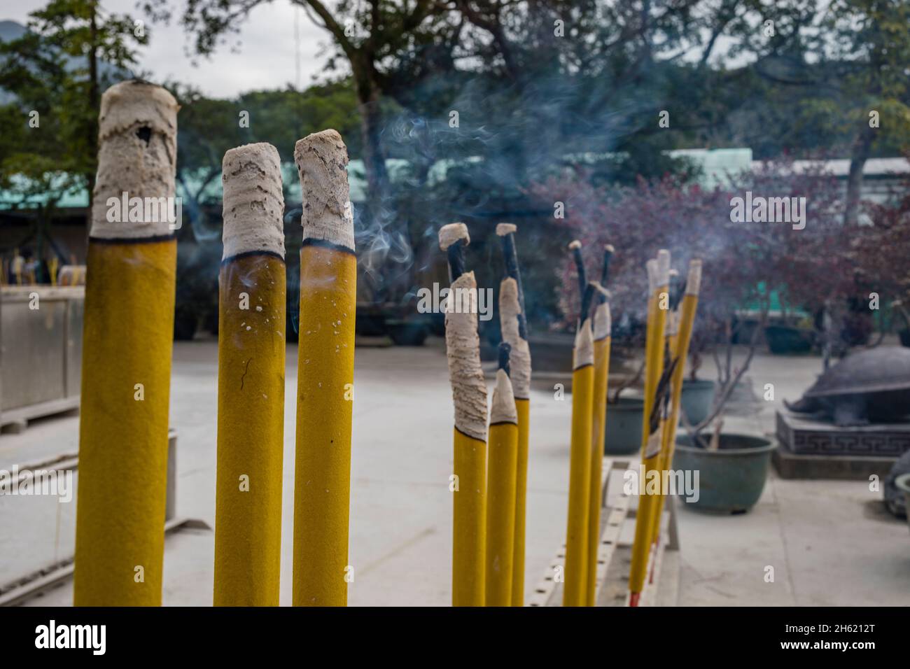 giant incense sticks,po lin monastery,po lin temple,lantau Stock Photo ...