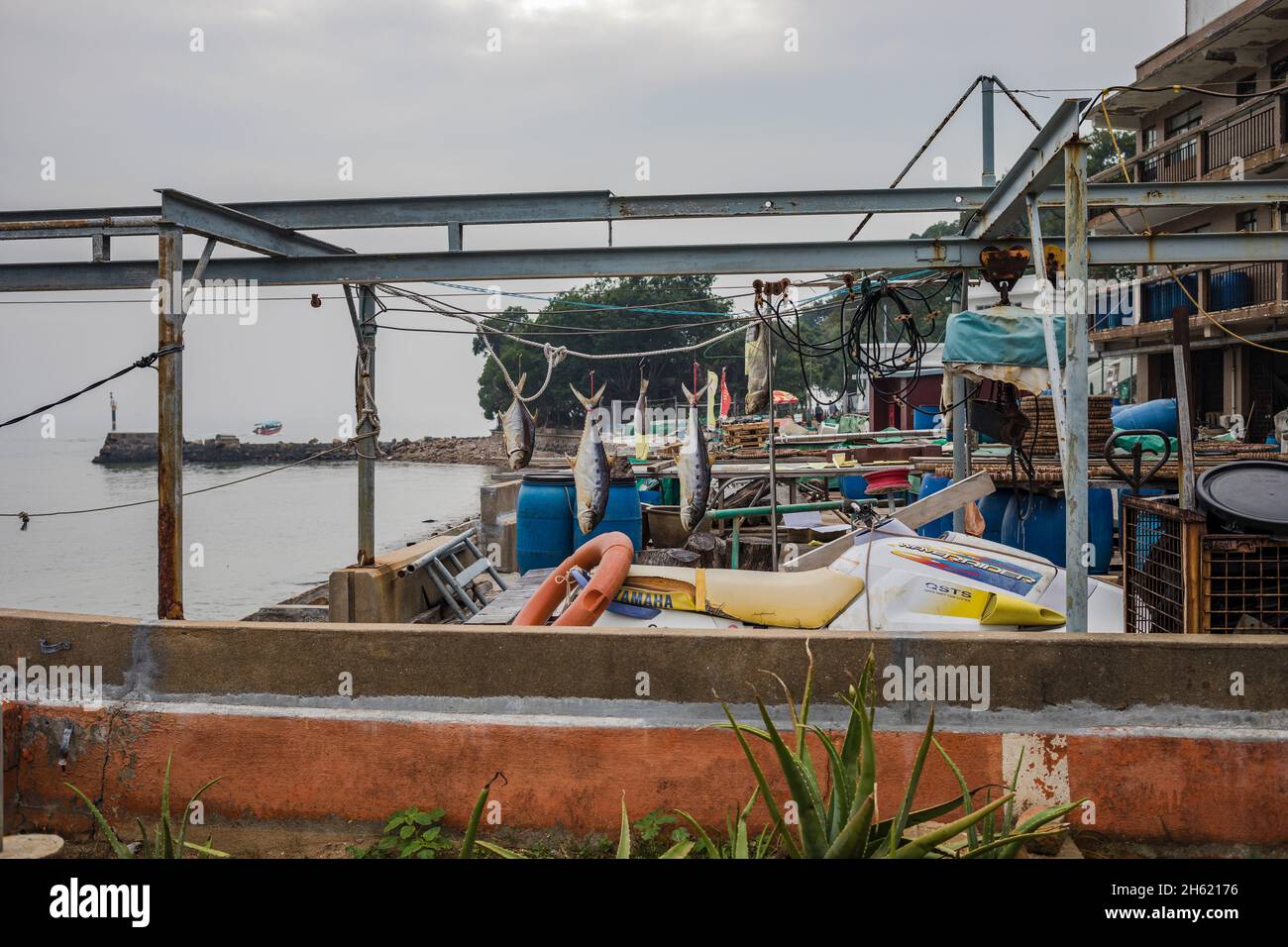 suspended fish in the backyard,tai o fishing village,lantau Stock Photo ...